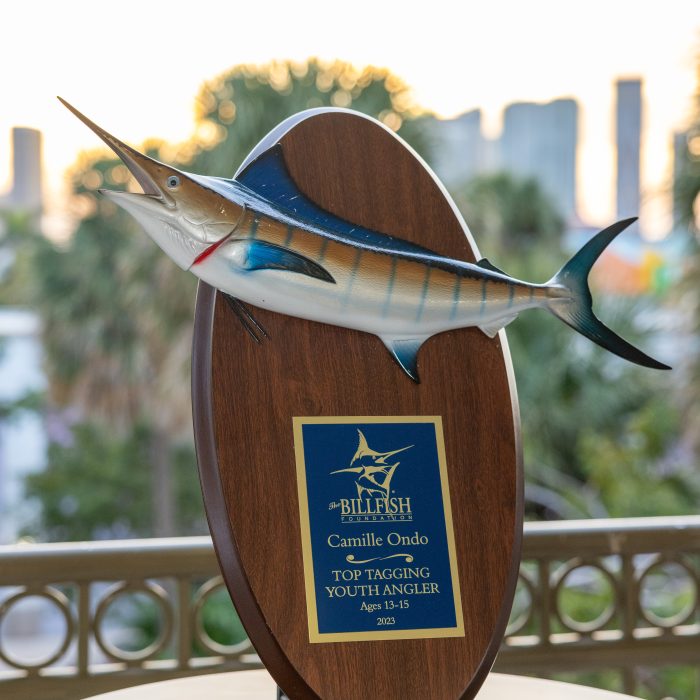 Tag & Release - The Billfish Foundation