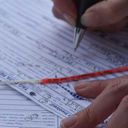 Tag & Release - The Billfish Foundation