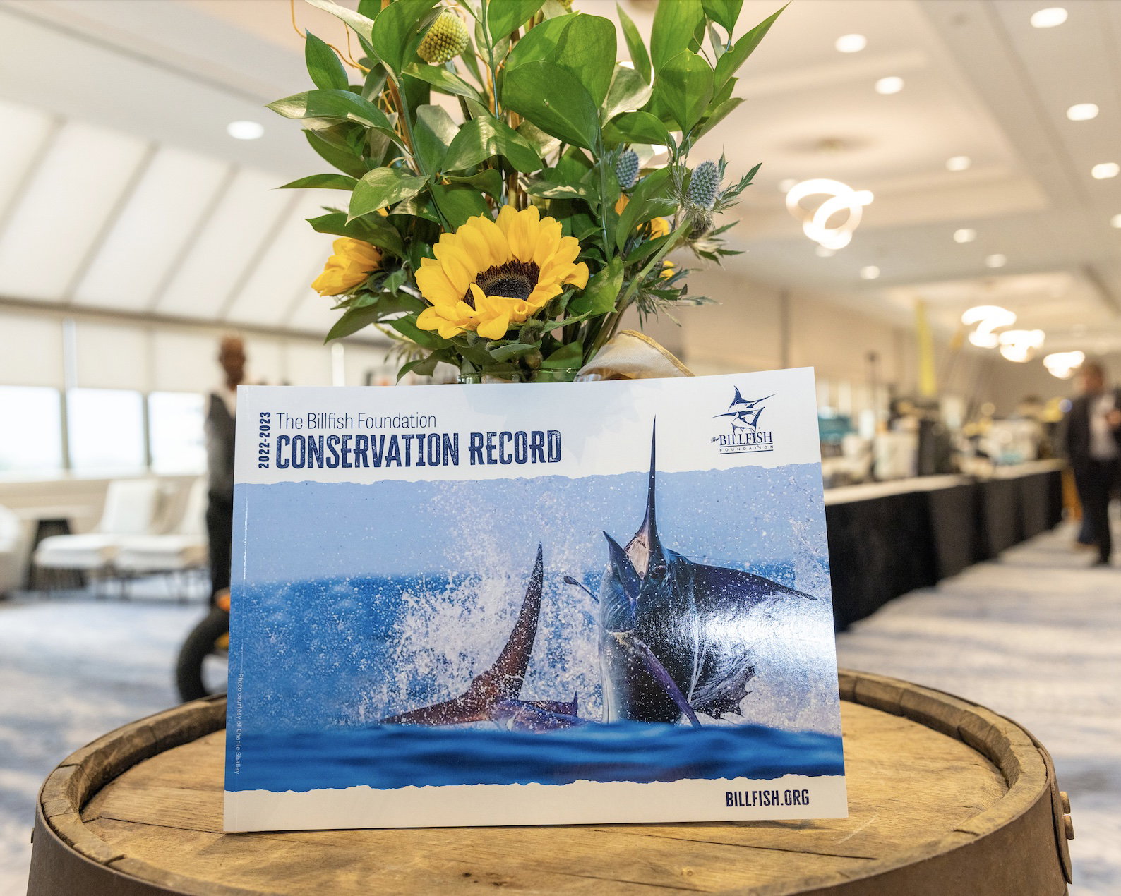 2022-2023 Conservation Record: Latest Updates and Data from TBF