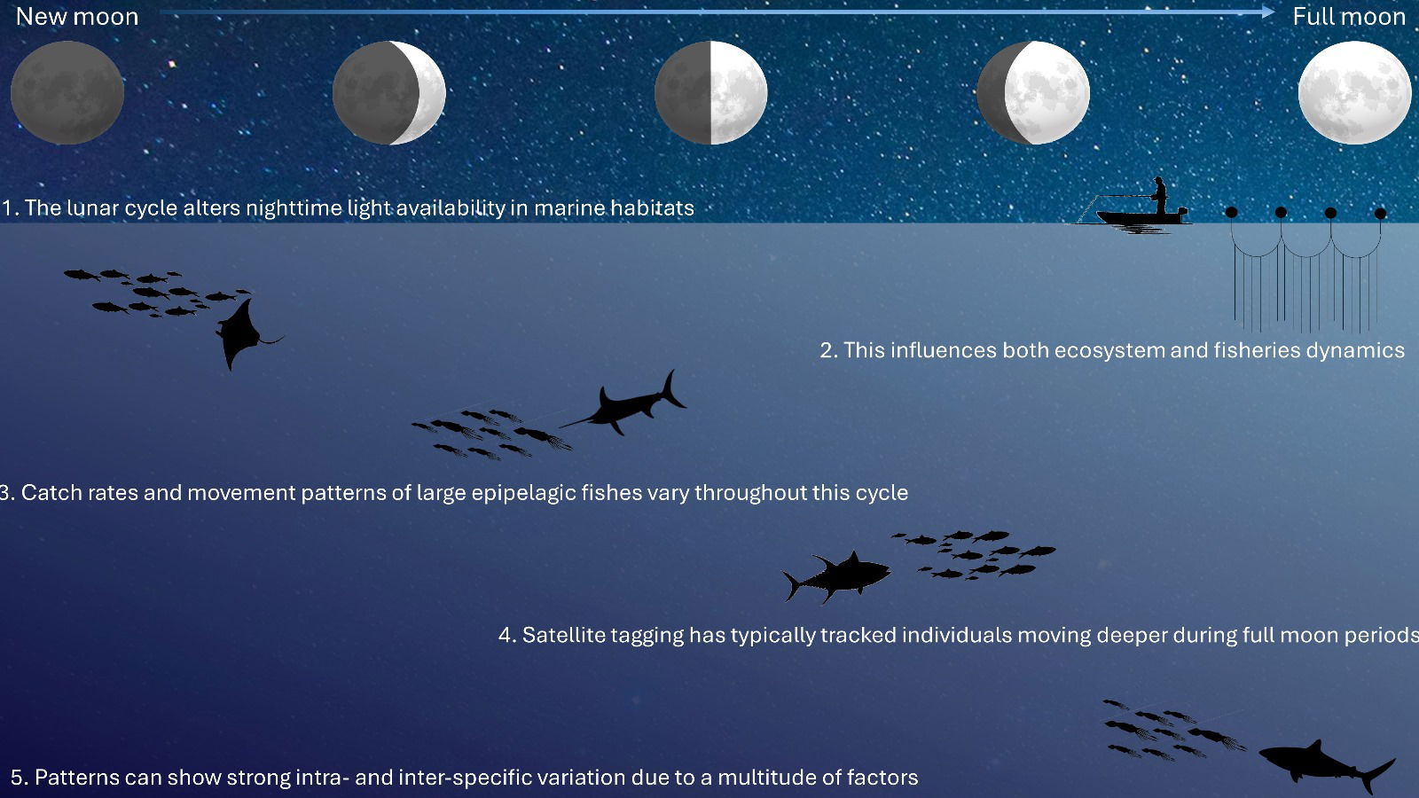 Lunar cycle effects on pelagic predators and fisheries: insights into ...